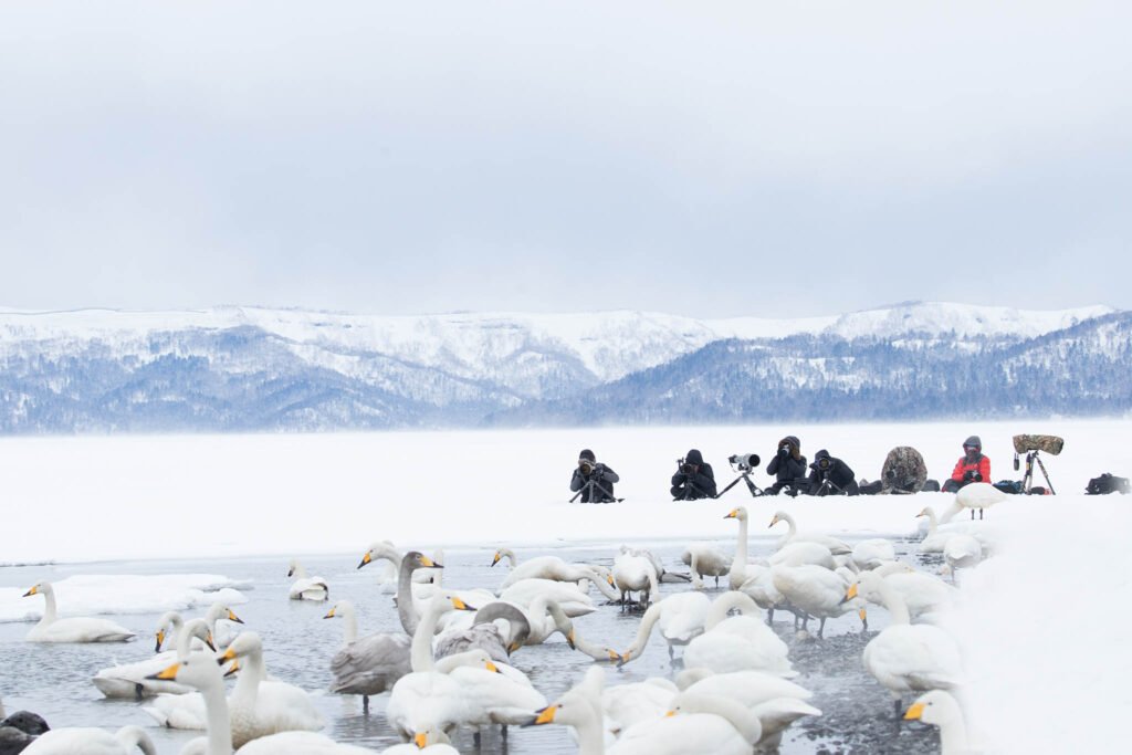 All Wildlife Photography Tours, Workshops & Courses - 2024, 2025 & 2026